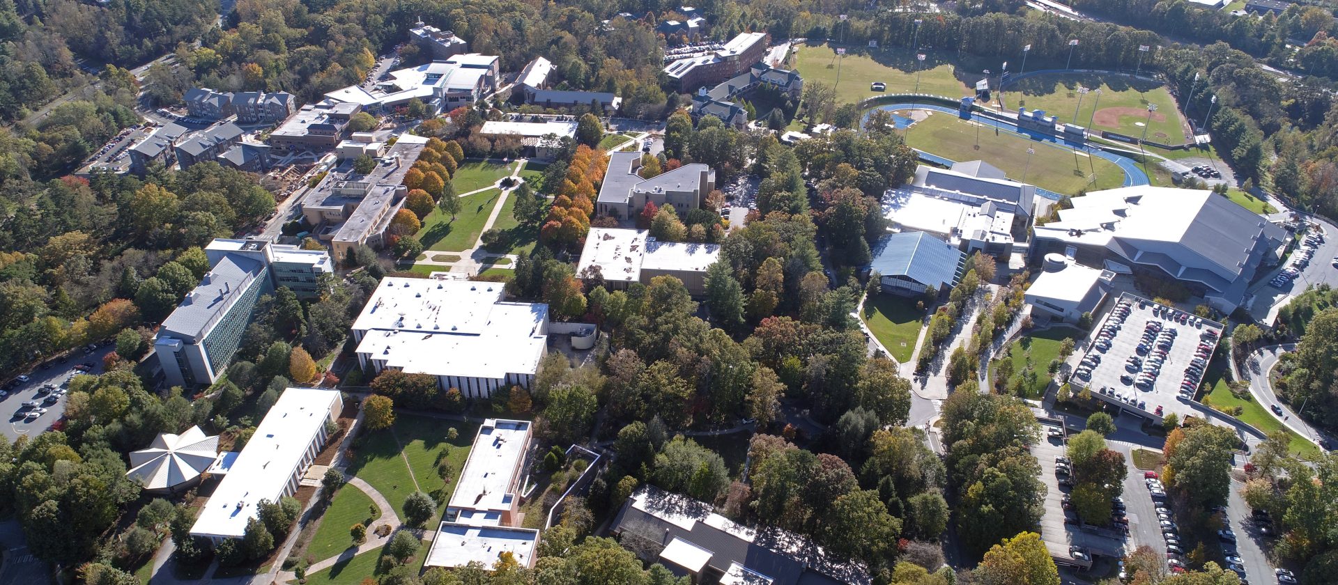 UNC Asheville Earns Tree Campus USA Recognition for Second Year - News ...
