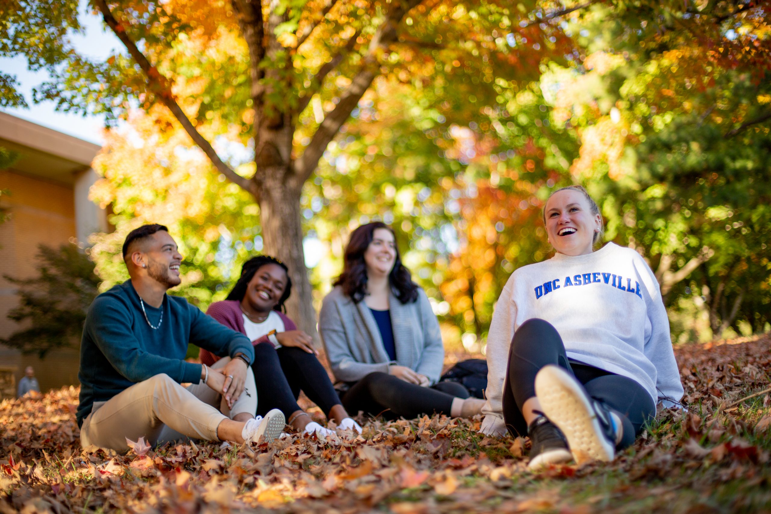 For High School Juniors - UNC Asheville